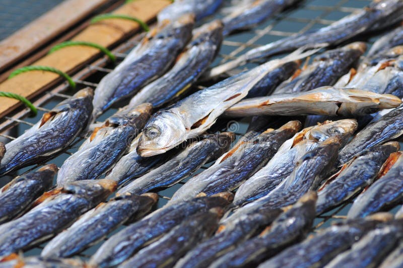 Dry fish stock image. Image of sardine, anchovy, cuisine - 34363089