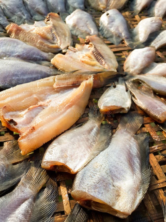 Dry fish stock image. Image of natural, delicious, floor - 68878743