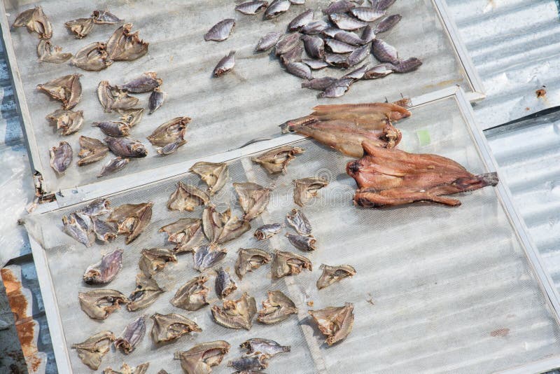 Dry fish on the roof stock image. Image of asian, cooking - 78188391