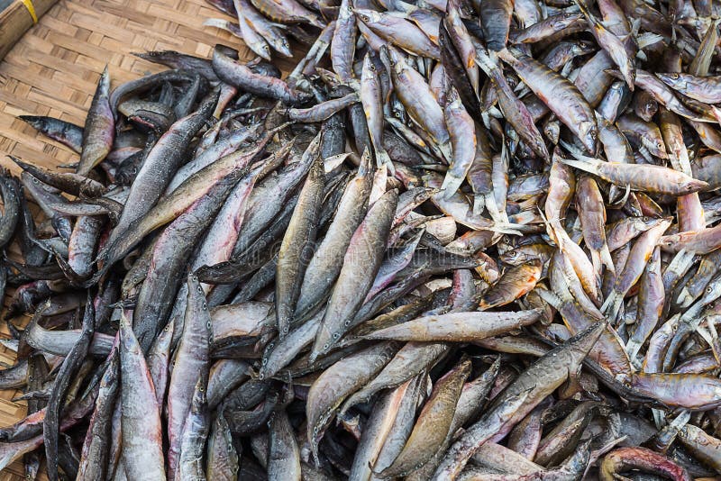 Dry fish stock photo. Image of cooking, fishery, fishing - 83360656