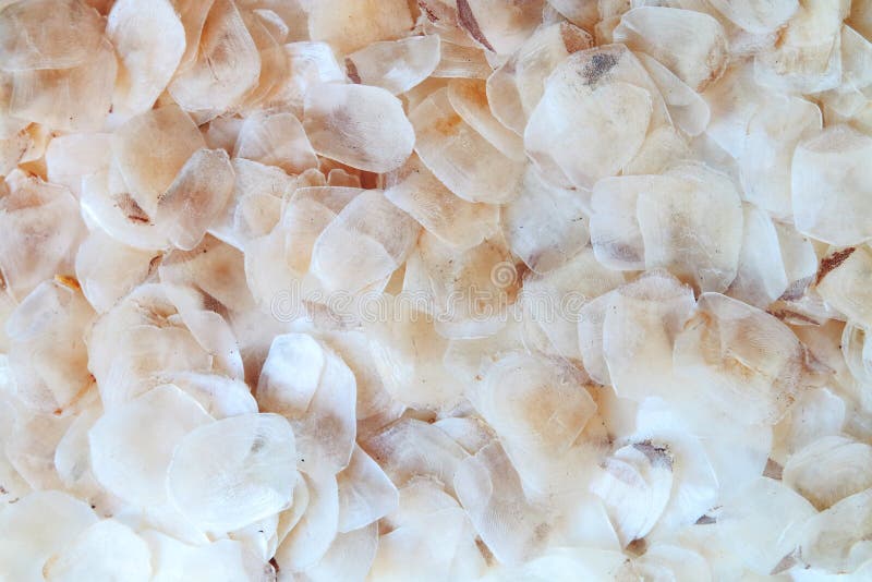 Dry fish scale stock photo. Image of color, fishery, small - 48177432