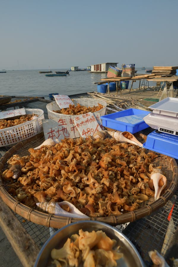 Dry fish selling booth editorial image. Image of basket - 242293390