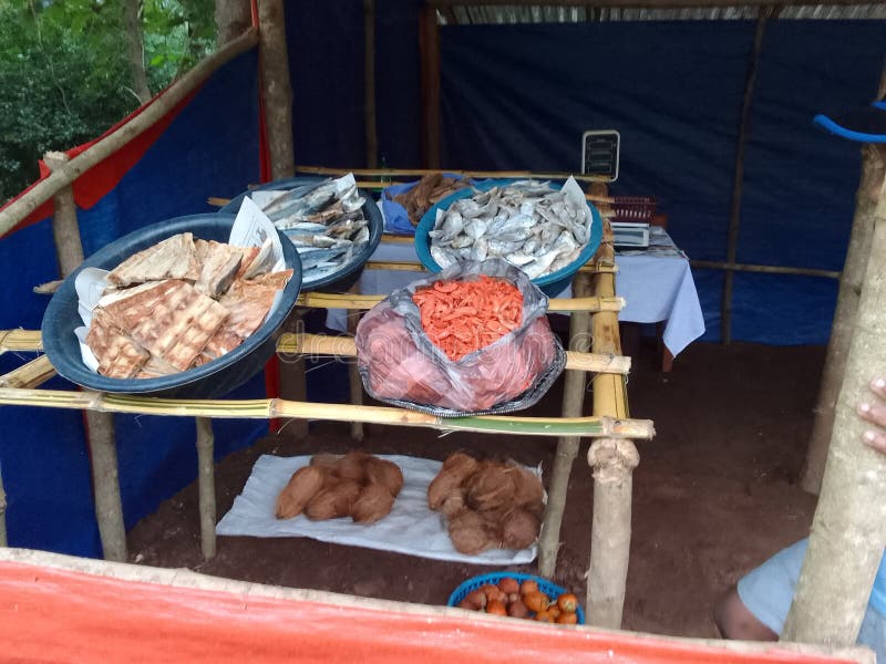 Dry fish shop in sri lanka stock photo. Image of fish - 250217580
