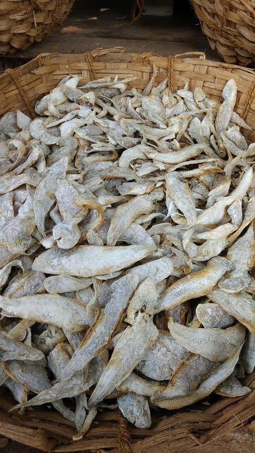Dry Fish stock photo. Image of fish, mangalore, dried - 92527554