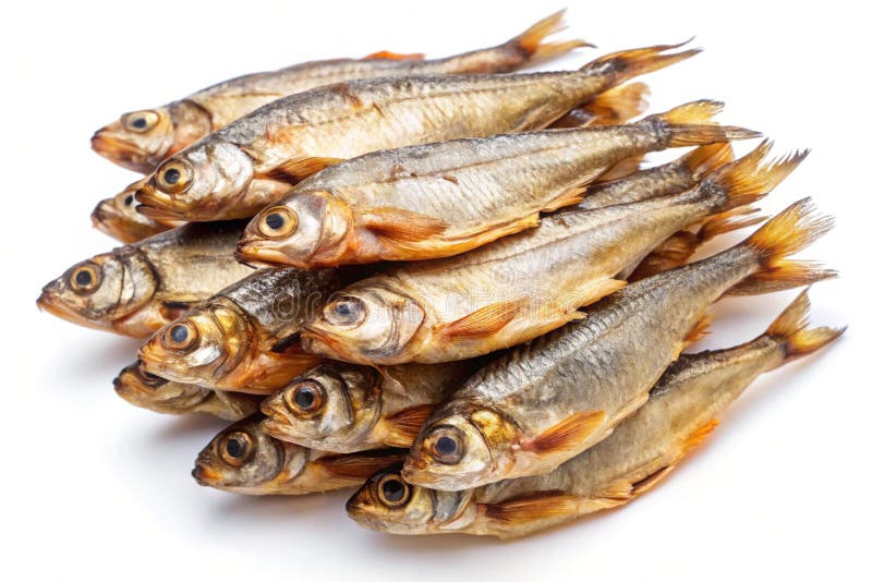 Dry Fishes, Isolated on White Background Stock Illustration ...