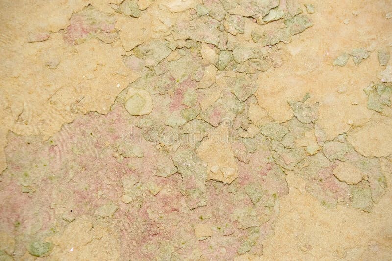 Dry Flaking Salt Patterns and Colours in Tropical Sun Stock Photo ...