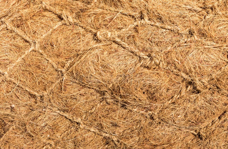 Dry Flax Fiber stock image. Image of rope, compact, string - 65838015