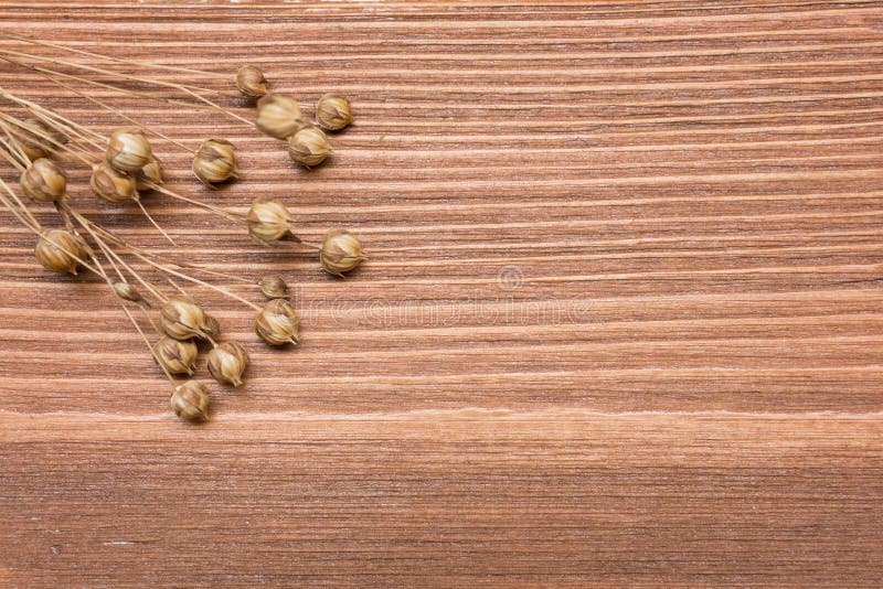 Dry Flax Plant on a Brown Board Stock Photo - Image of weaving, weave ...