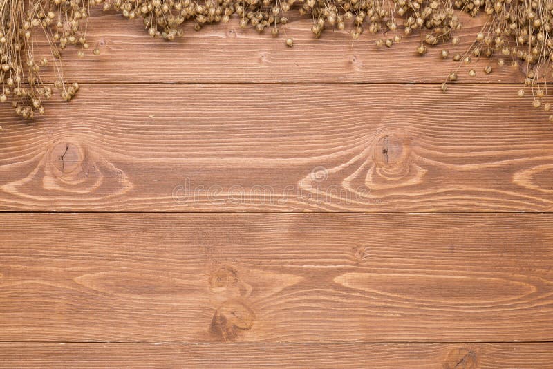 Dry Flax Plant on a Brown Board Stock Image - Image of canvas, flax ...