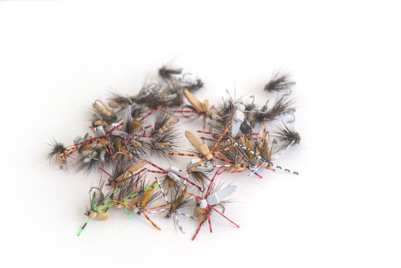 Dry Flies for Fishing on a White Background Stock Photo - Image of barb ...