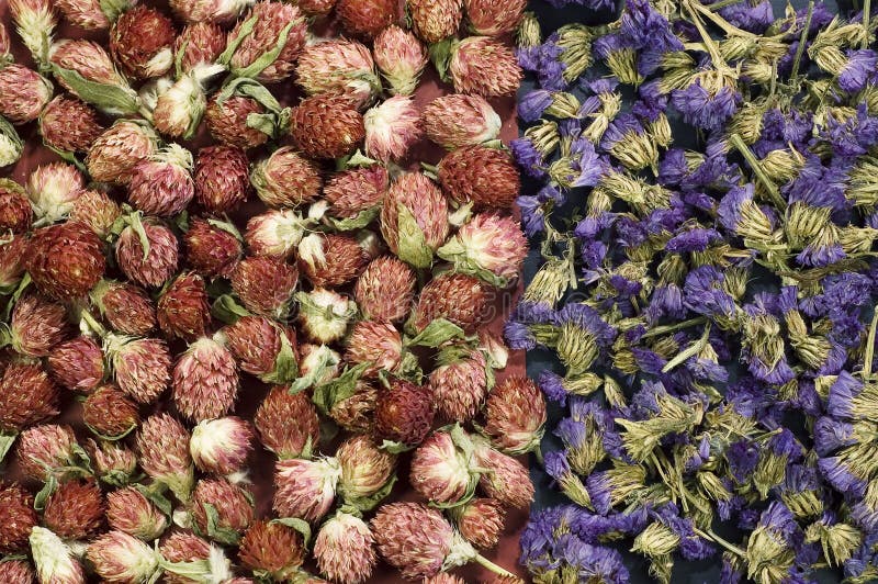 Dry flower arrangement stock photo. Image of cornflower - 9562302