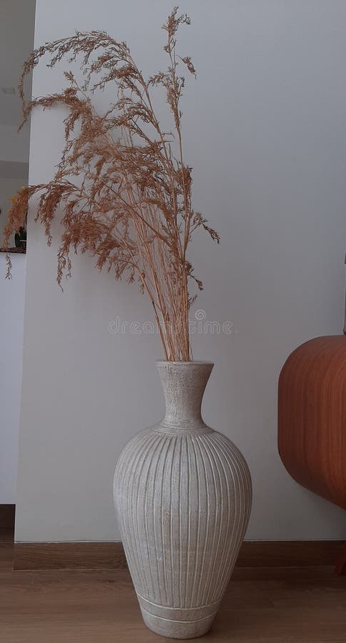 Dry flower of pot stock photo. Image of tree, sculpture - 260960526