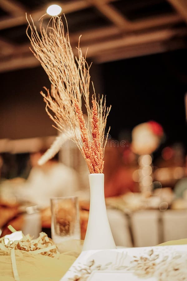 Dry flower in the vase stock photo. Image of flower - 265486422