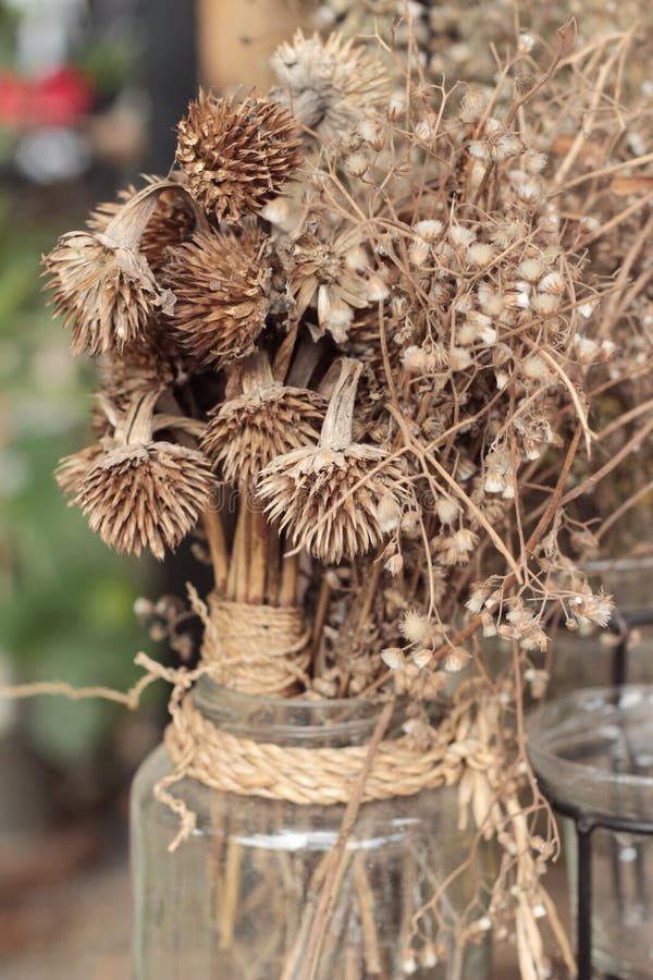 Dry Flowers at Beautiful in the Vase. Stock Image - Image of nature ...