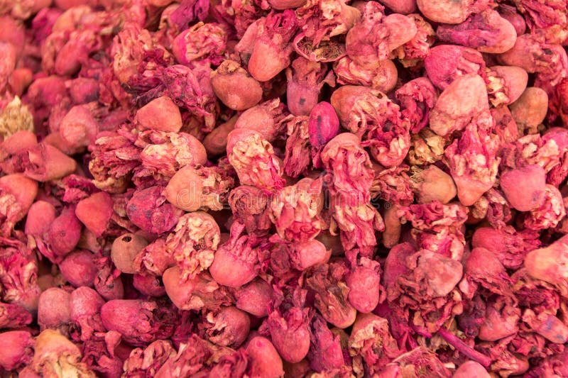 Dry Flowers in Marrakech Medina Stock Image - Image of rose, flavor ...