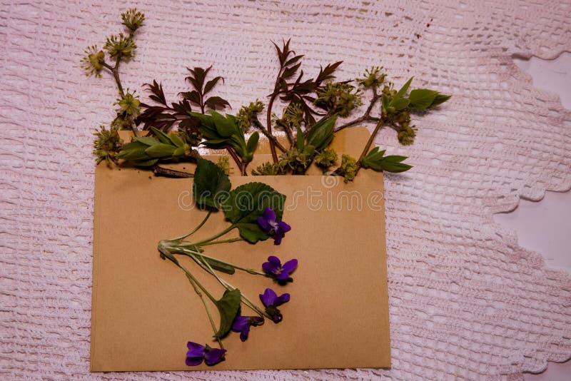 Dry Flowers and Violets in a Brown Envelope Stock Photo - Image of ...