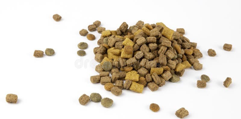 Dry Food for Cats. Food for Pets. Stock Photo - Image of small, dish ...