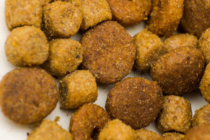 Dog and cat food kibbles stock image. Image of orange - 144938091