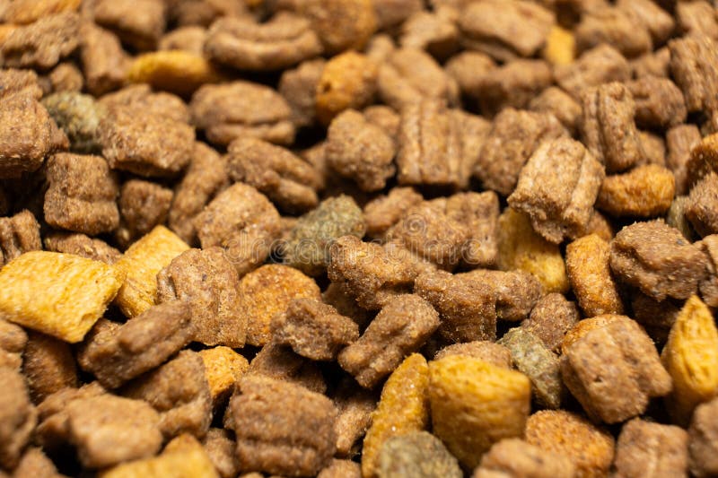 Dry Food for Kittens and Cats Close-up. a Complete Cat Diet Stock Image ...