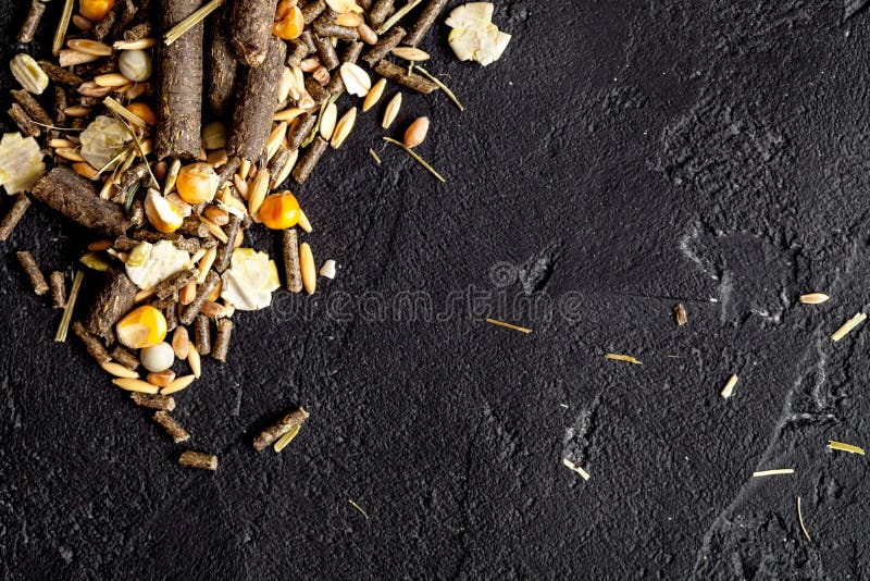 Dry Food for Rodents on Dark Background Top View Stock Photo - Image of ...