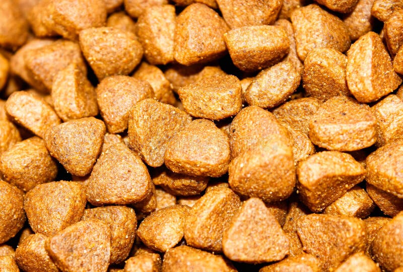 Dry Food Triangular Shape for Animals Close-up Stock Photo - Image of ...