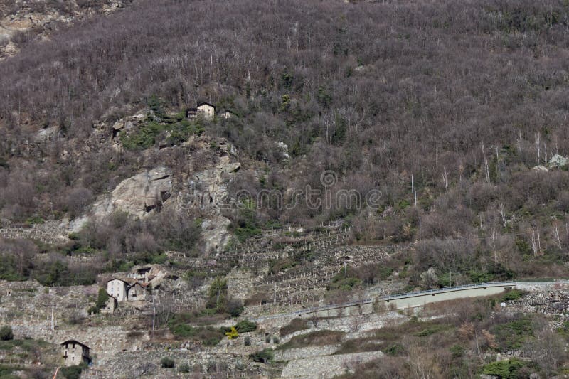 Dry Forest and Old Buildings on the Mountain Slope Stock Image - Image ...