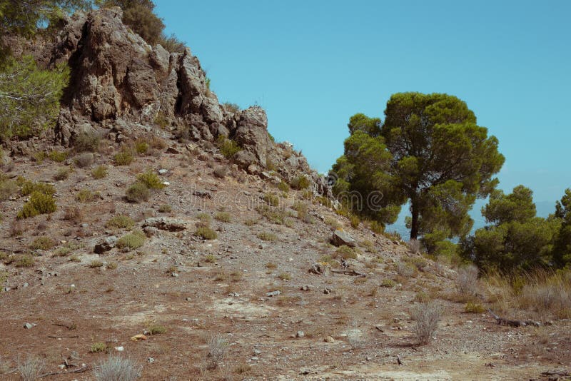 Dry Forest in a Warm Climate in the Mountains Stock Photo - Image of ...