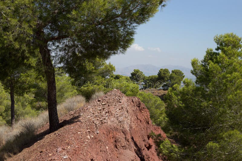 Dry Forest in a Warm Climate in the Mountains Stock Photo - Image of ...