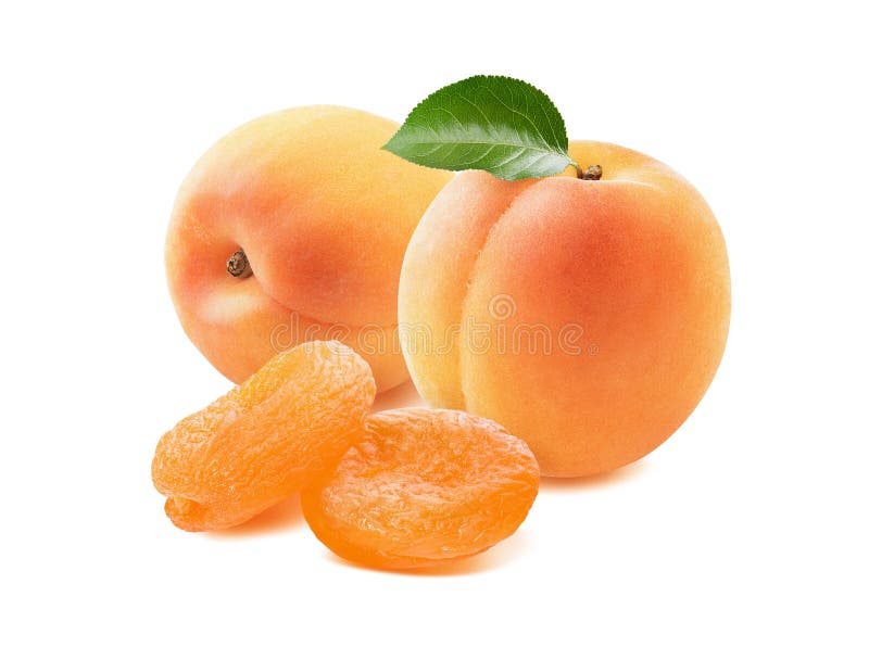 Dry and Fresh Apricots with Leaves on White Background Stock Photo ...