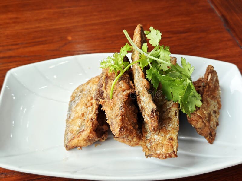 734 White Ribbon Fish Stock Photos - Free & Royalty-Free Stock Photos ...