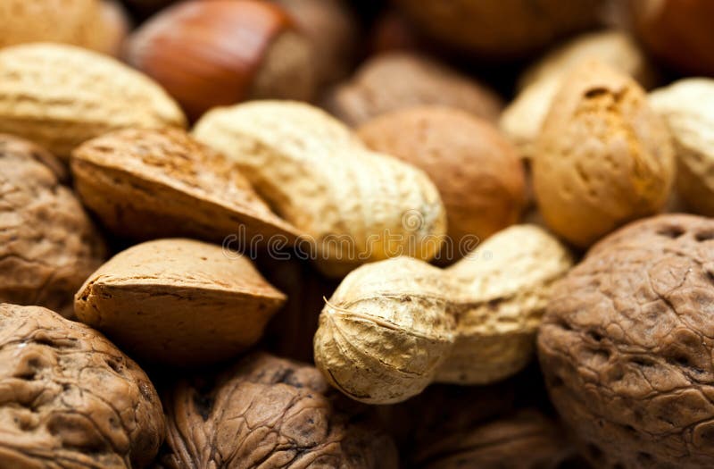 Dry fruit stock photo. Image of walnut, food, tasty, nutshell - 22741868
