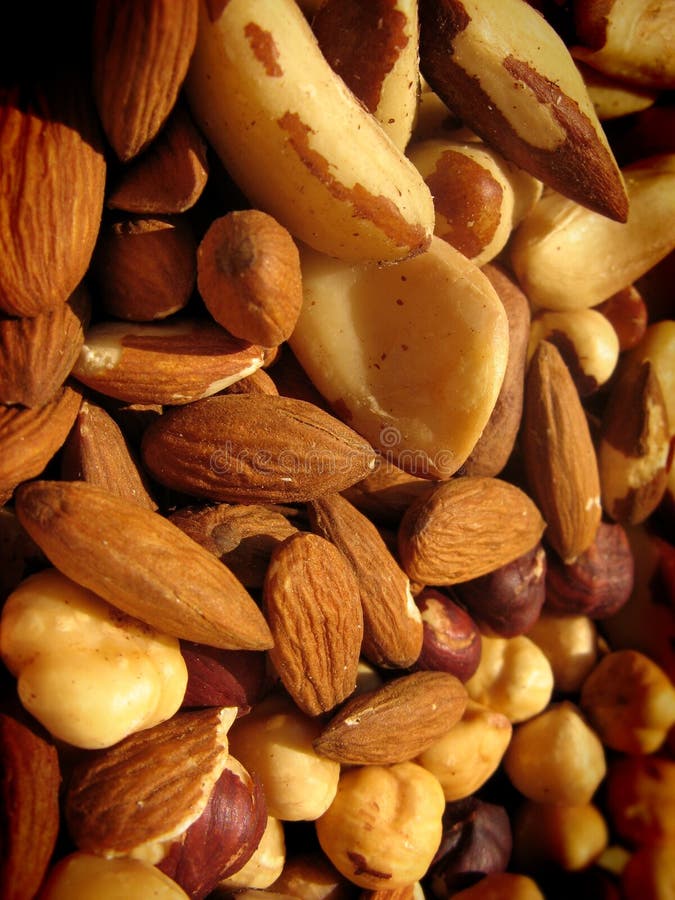 Dry fruit, nuts stock image. Image of brazilian, food - 11082699