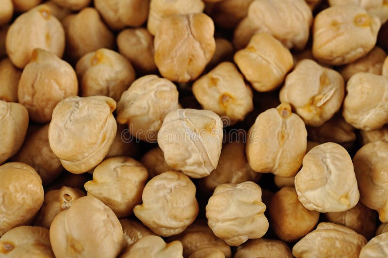 Dry Garbanzo Beans Background Stock Photo - Image of garbanzo ...