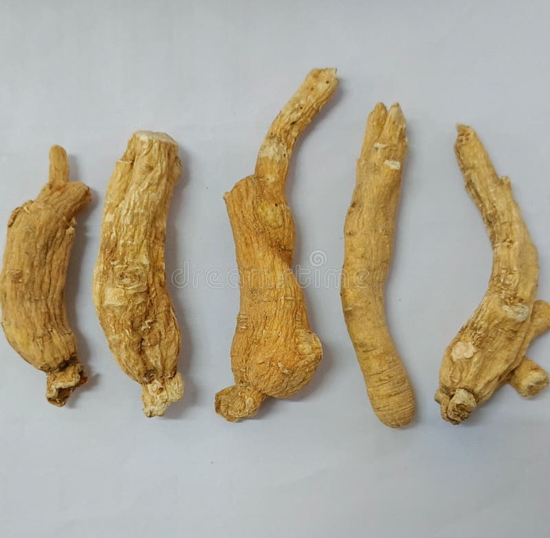 Gensing stock image. Image of herb, good, gensing, health - 331104787