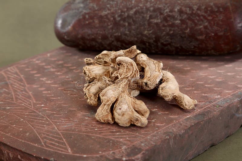 Dry Ginger stock image. Image of adrak, drink, ginger - 296176547