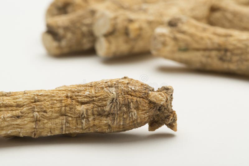 Dry ginseng roots stock image. Image of plant, food, underground - 34478261