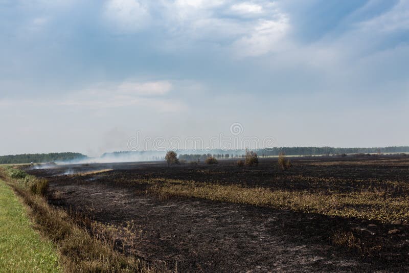Dry Grass Burning on the Field on a Hot Day Stock Photo - Image of ...
