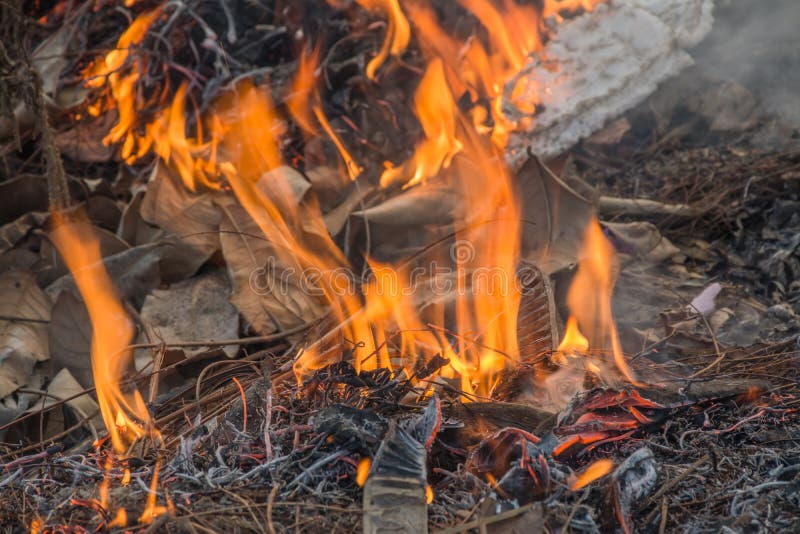 Burning dry grass stock photo. Image of smoke, destruction - 32756300