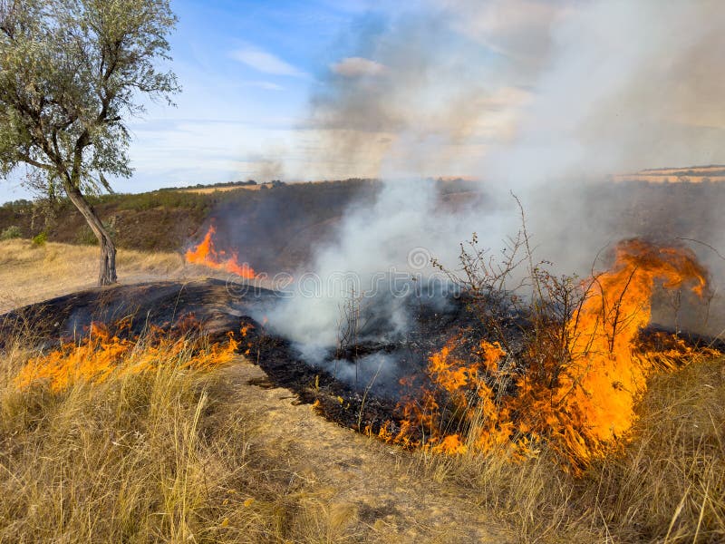 Dry Grass Burning, Dry Vegetation Fire Stock Photo - Image of ...