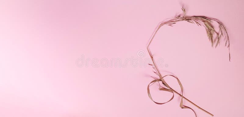 Dry Grass And Canvas Bag For Composition On Pink Background Diy Concept Top View Stock Image