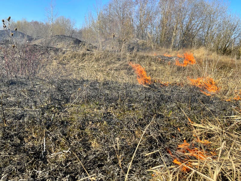 Dry Grass Field Fire Disaster Close Up Stock Photo - Image of aerial ...