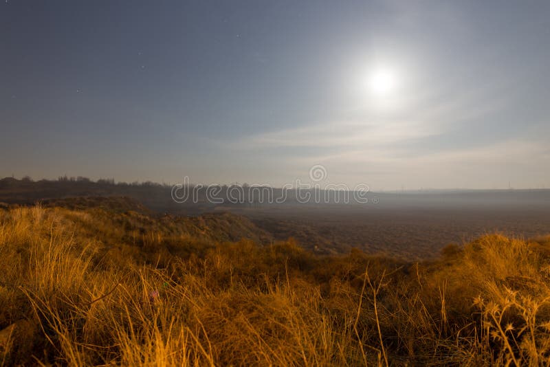 Dry Grass in a Field in the Moonlight Night Stock Photo - Image of ...