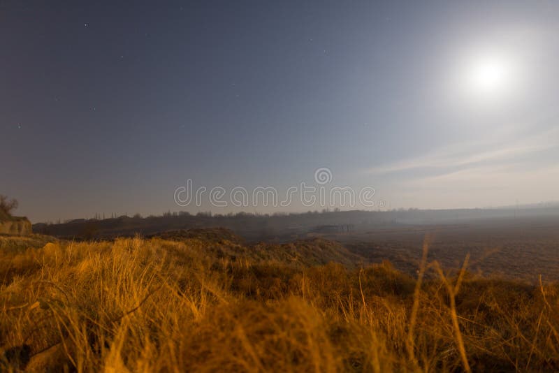Dry Grass In A Field In The Moonlight Night Stock Photo - Image of ...