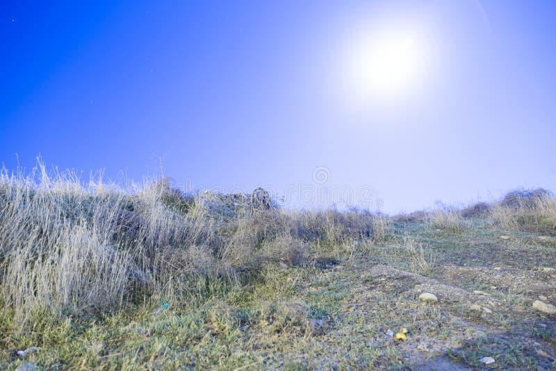 Dry Grass in a Field in the Moonlight Night Stock Photo - Image of ...