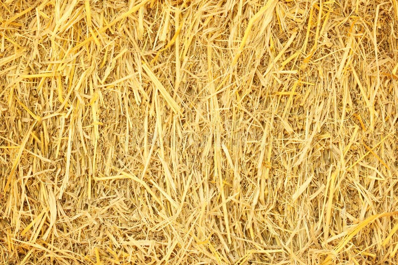 Dry Grass, Hay, Straw Textured Border Background Stock Photo - Image of ...