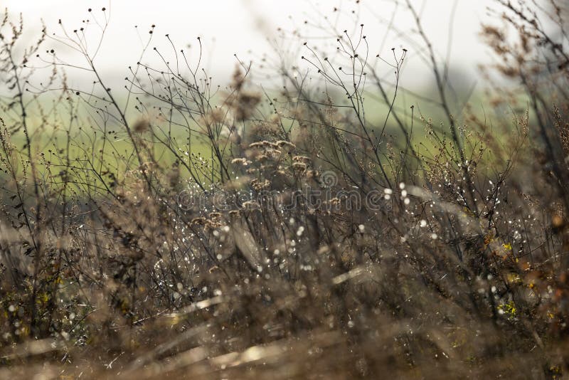 Dramatic Sun Rays Behind Clouds by the Lake Stock Photo - Image of ...