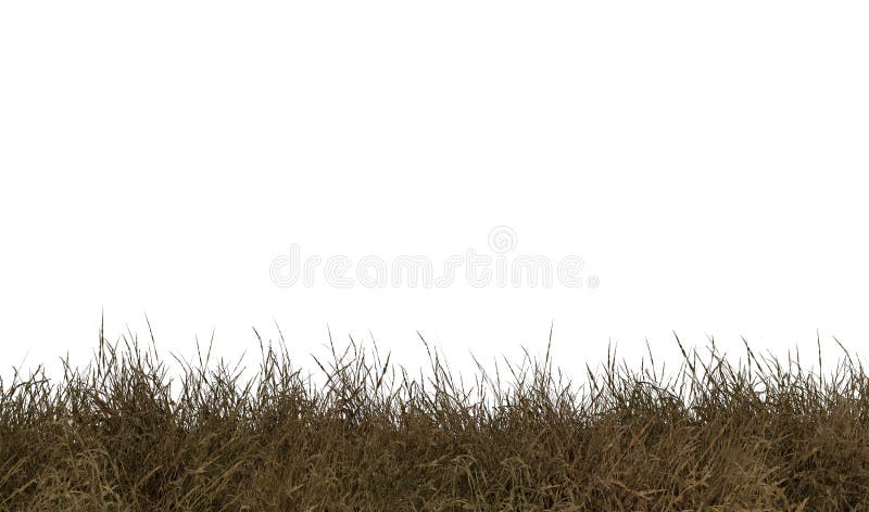 Dry Reed Texture Stock Illustrations – 112 Dry Reed Texture Stock ...