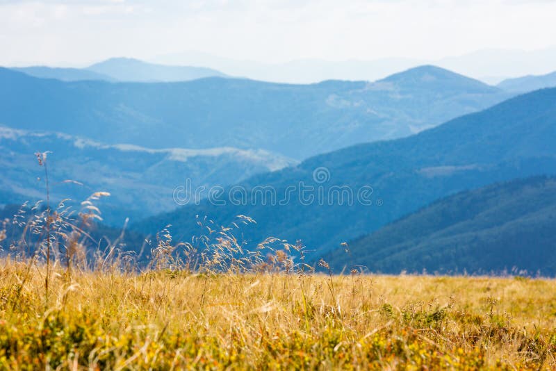 Dry grass meadow stock image. Image of tourism, natural - 99970221