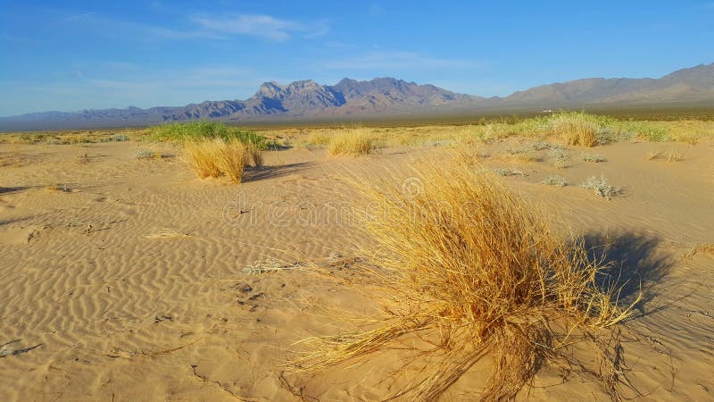 Dry Grass In Mojave Desert With Mountains In Background And With Clear ...