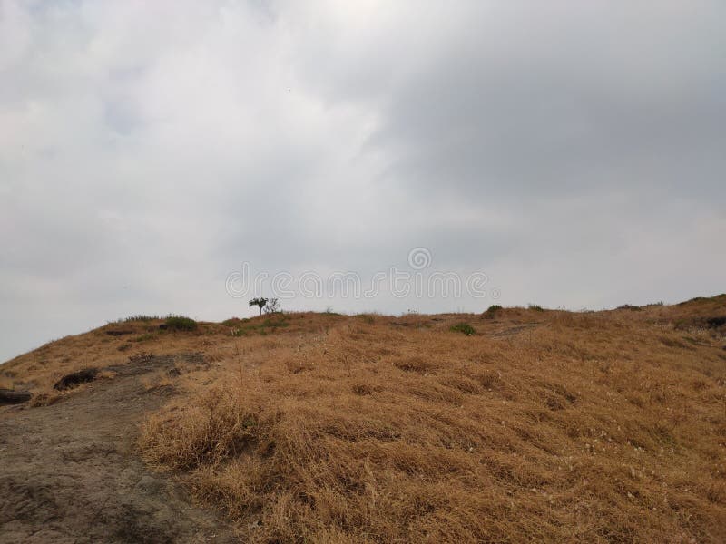 Dry grass on mountain top stock photo. Image of nature - 264903856